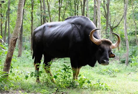 Ksvfffra52tcu8l3jsu2 