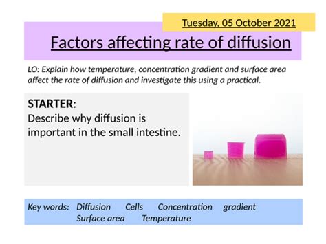 Aqa Diffusion And Factors Affecting Rate Teaching Resources