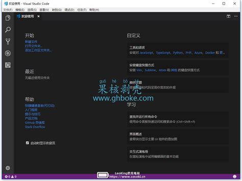 Visual Studio Code 官方版 老康的学习空间