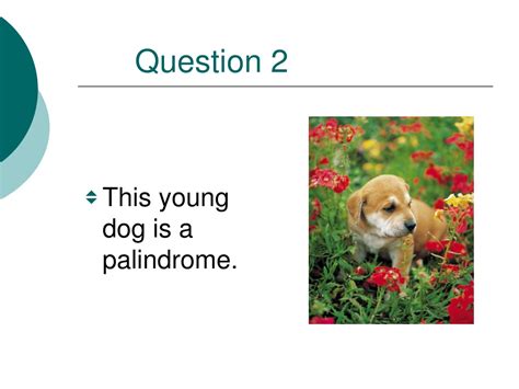 PPT Fun Palindrome Quiz For All Ages PowerPoint Presentation Free Download ID