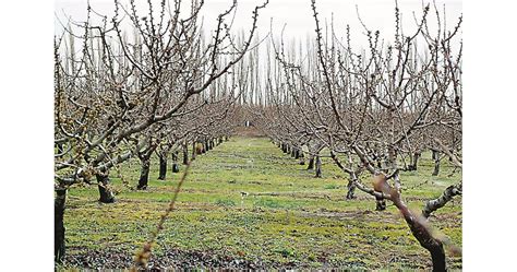 Добри агропрактики в овощните градини Български Фермер
