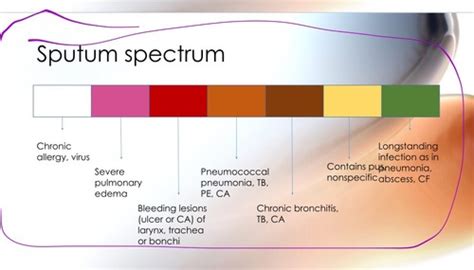 Basic Bacteriology 3 Exam 3 Flashcards Quizlet