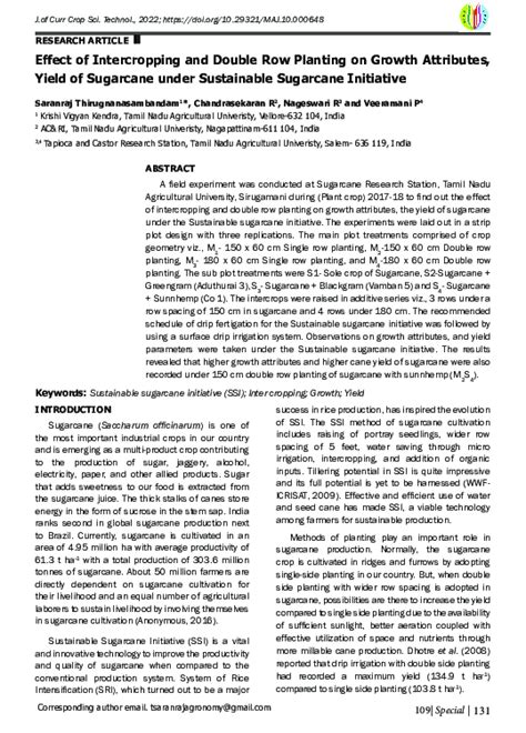 Pdf Effect Of Intercropping And Double Row Planting On Growth