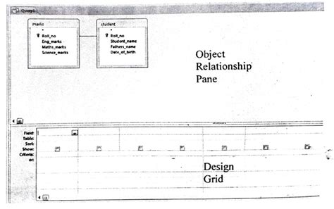 Class 9 Computer Science Chapter 6 Database Dev Library