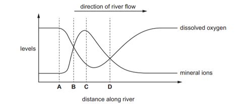 Levelsdirection Of River Flowa B Cddistance Along Riverdissolved Oxy