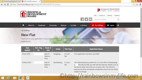 Checking The Details Of Your Flat Application ~rainbows In My Life~