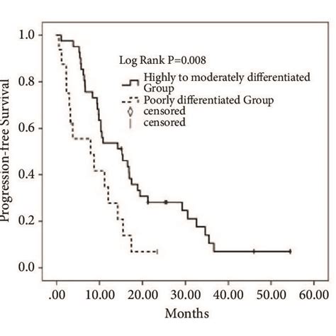 The Kaplan Meier Statistical Analysis Was Used To Analyze The Survival