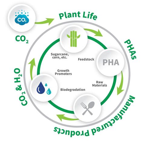 Sj Lee En Linkedin 현재 바이오 플라스틱 중에는 1 이산화탄소를 흡수하여 자라는 식물을 원료로 하지만 화학 공정을 통해 합성되어 기존 석유 기반