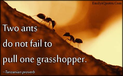 Inspirational Grasshopper Quotes