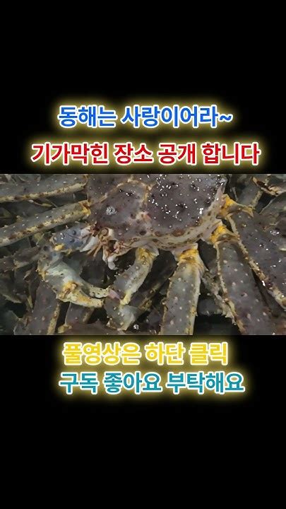 차박캠핑 이런 장소 보셨나요 동해안 꼭꼭 숨어 있는 바다를 품은 노지캠핑 차박장소 공개 화장실ok 광고 차박정보 노지캠핑정보 소문난간장게장 프라임무역