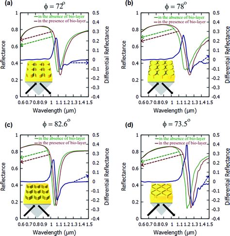 Reflectance And Differential Reflectance Spectra Of A A Cylindrical Download Scientific