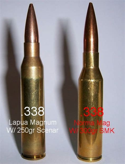 Best 338 Magnum Showdown At The High Power Corral Skyaboveus