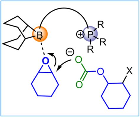Rate Determining Step In The Copolymerization Process Download Scientific Diagram