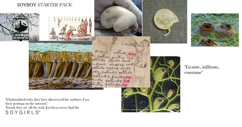 Soyboy Stopper Pack Scrolller