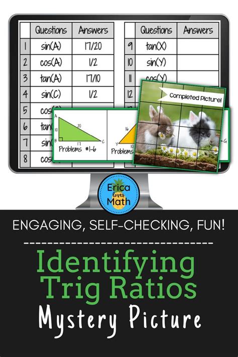 Identifying Trig Ratios Digital Mystery Picture Activity Digital