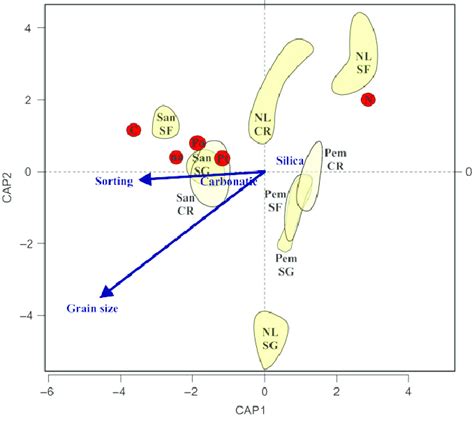constrained analysis of principal coordinates dbrda ordination plot