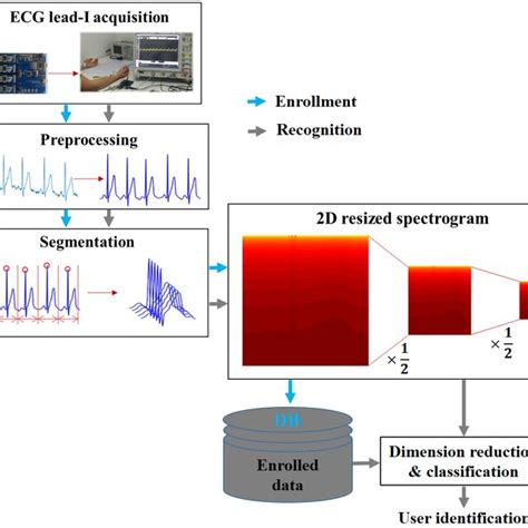 Diagram Of User Identification System Applying 2d Resized Spectrogram
