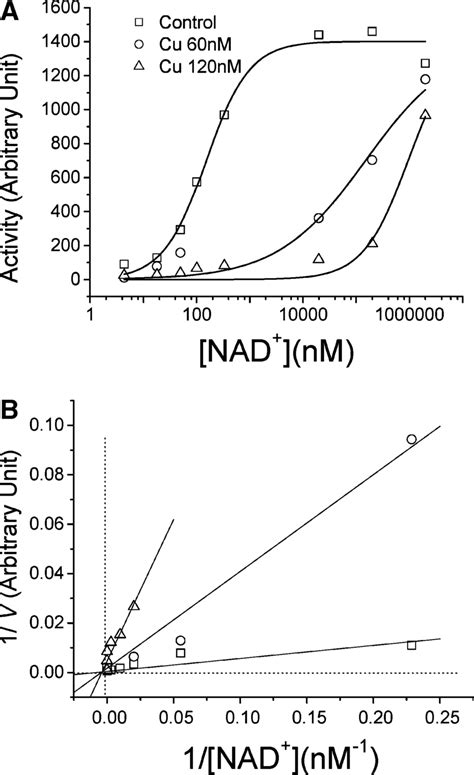 Untransformed A And Double Reciprocal Plot B Of Sahh Activity And