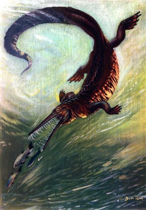 Mesosaur Alchetron The Free Social Encyclopedia