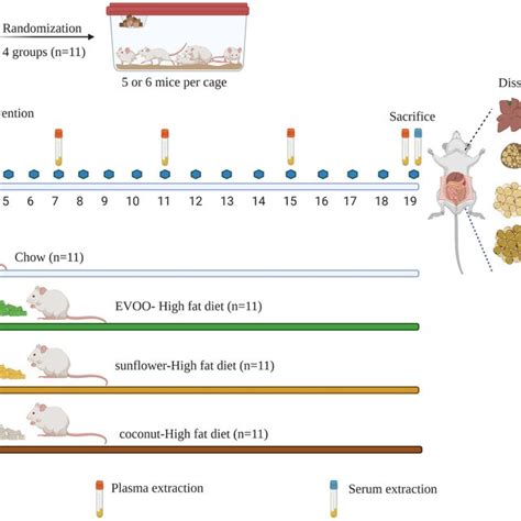 Experimental Design Download Scientific Diagram