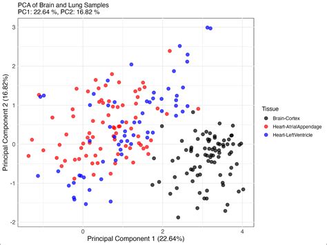 How To Handle Unseen Data With One Hot Encoding In Machine Learning