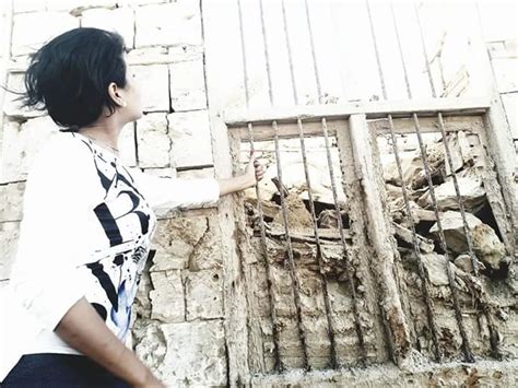 ‫nancy Ajaj نانسي عجاج Home Facebook‬