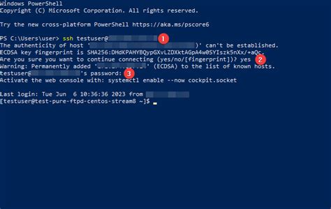 Usage Guidelines Linux Stream 8 With Pureftpd Server Virtual Pulse Sro News