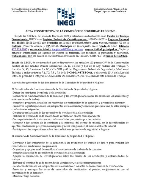 Acta Constitutiva Seguridad E Higiene Pdf