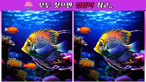 틀린그림찾기 다른그림찾기 집중력향상 두뇌비타민 두뇌게임 치매예방 Youtube