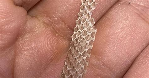 Imgur The Magic Of The Internet