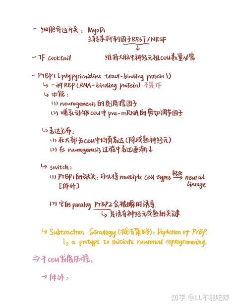 【综述总结】干细胞与神经退行性疾病 知乎 【综述总结】干细胞与神经退行性疾病 知乎