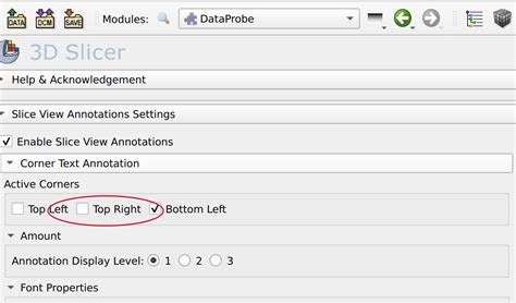 thick slab reconstruction corner annotation not visible by default in