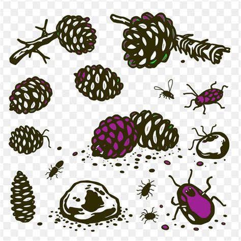 A Collection Of Different Types Of Fruits And Insects Premium AI Generated PSD