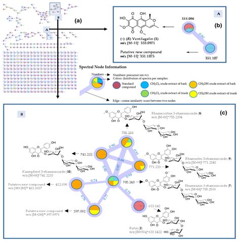 Molecular Networking Of Crude Extracts Of V Denticulata As A Download Scientific Diagram