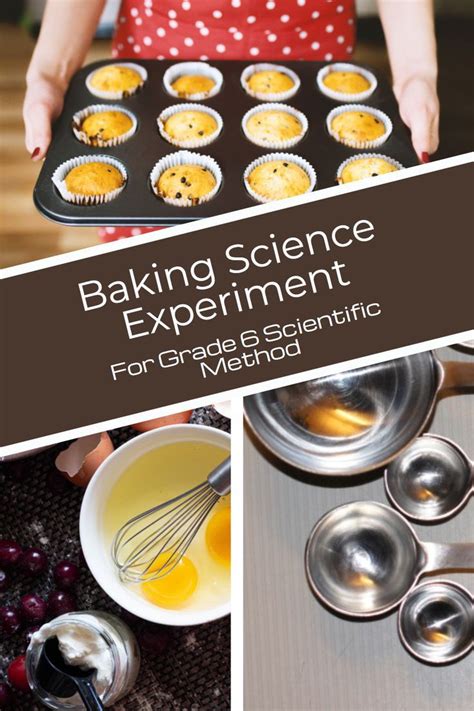 Baking Science Experiment Scientific Method Grade 6 Myp Science