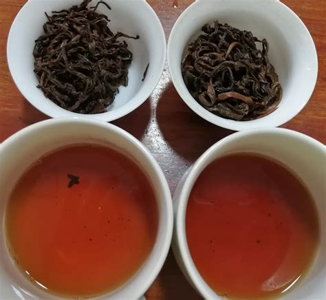 Tea In The Ancient World Aran Tea Thai Assam Compared To An Assam