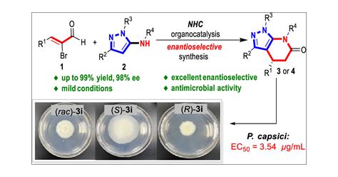 Enantioselective Synthesis Of Pyrazolo[3 4 B]pyridone Derivatives With Antifungal Activities
