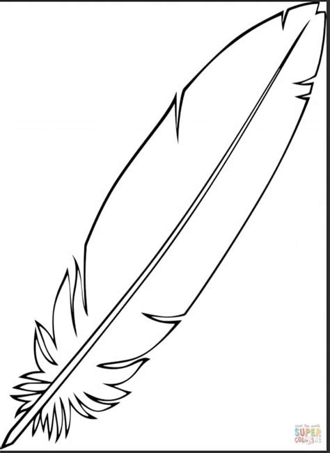 Molde De Plumas Para Imprimir