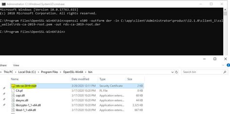 Setup Ssltls Connection For Aws Rds Oracle Database 2022