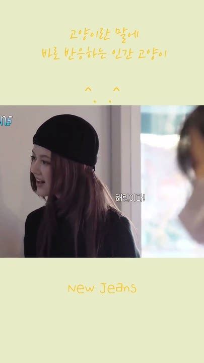 [뉴진스] 인간 고양이 강해린 Youtube