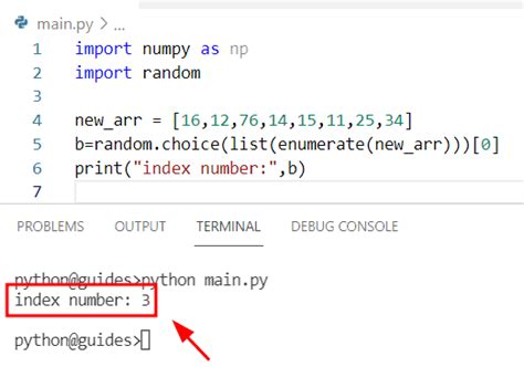 Python NumPy Indexing - Detailed Guide - Python Guides