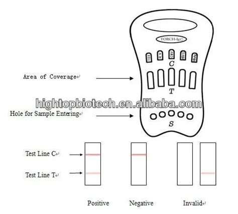 One Step Torch Panel Rapid Test Iggigm Buy Torch Panel Testtorch