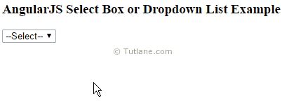 AngularJS Select Box Dropdown List Binding With Validations Example Tutlane