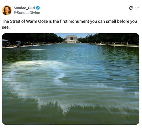 Literally Just 28 Great Jokes About The Reflecting Pool Disaster