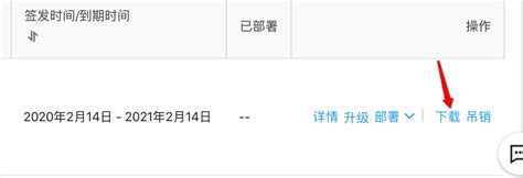 springboot配置访问 使用p12证书 服务端p12认证 csdn博客