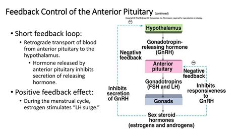 Endocrine Glands Secretion And Action Of Hormones Ppt Download