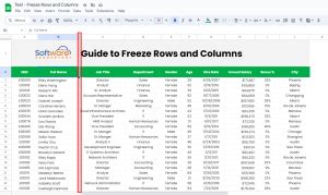 How To Freeze Rows Columns In Google Sheets Quickest Methods Software Accountant