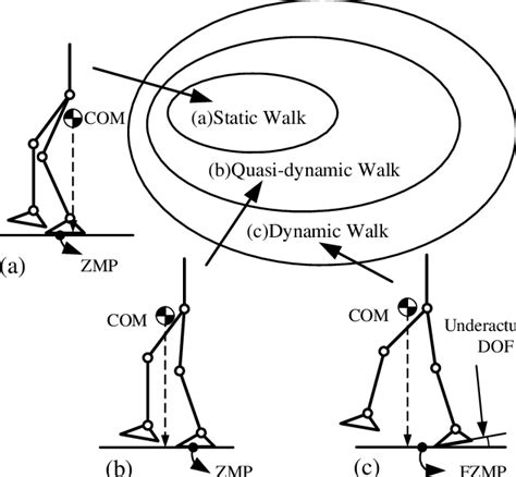 Classification Of Biped Locomotion In Case A The Robots Nominal Download Scientific