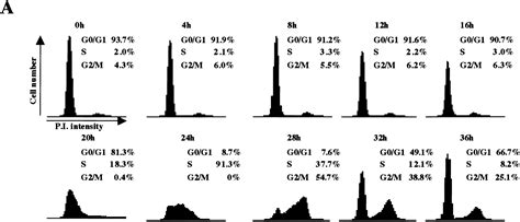 Analysis Of Promoter Binding By The E2f And Prb Families In Vivo