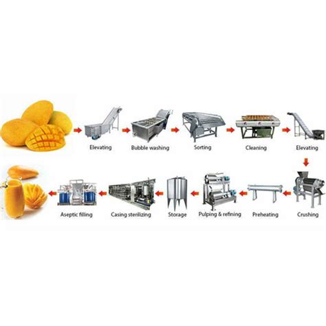 Fruit Plants Food Processing Plants Manufacturer Pune India